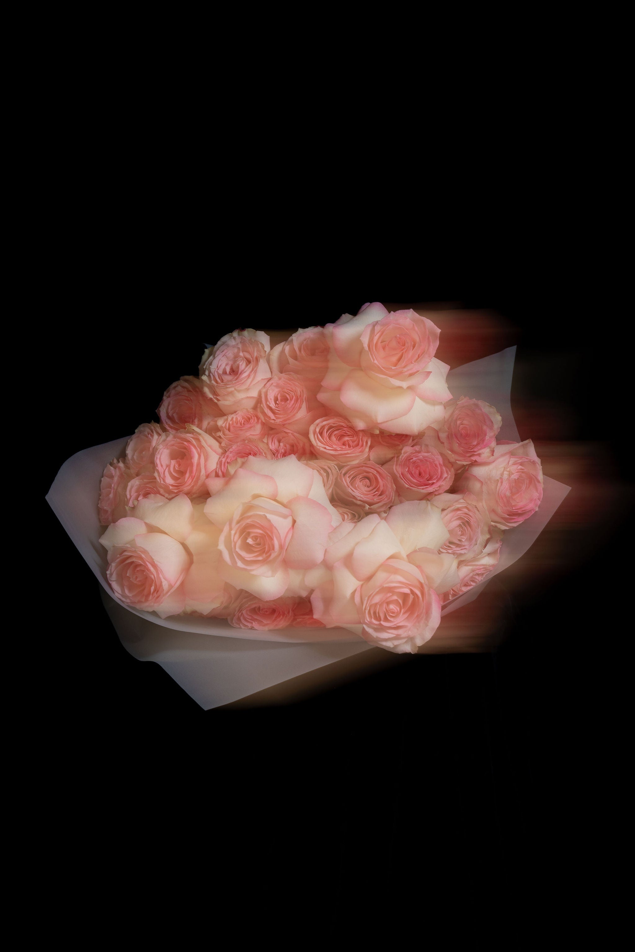Rosas – Seven Roses