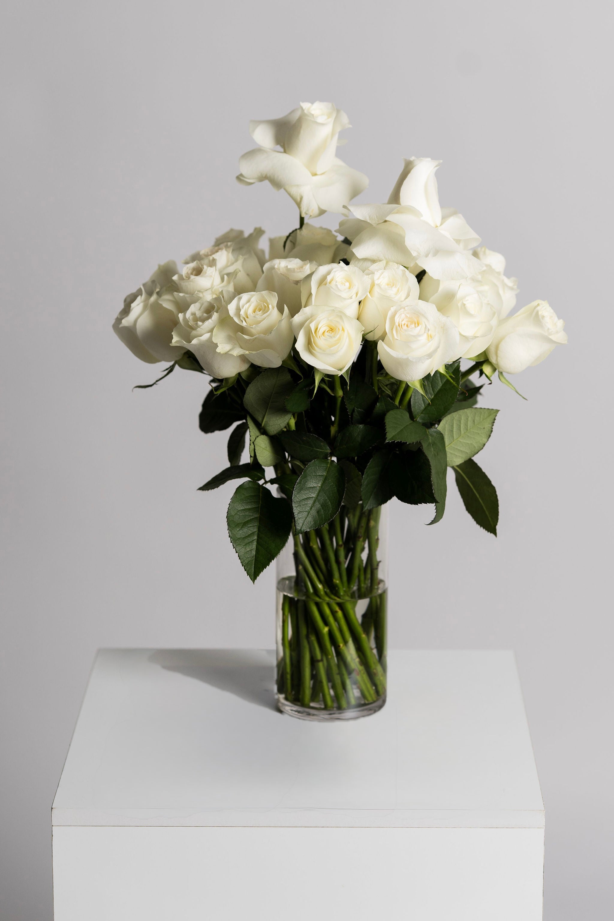 Vanilla Cream – Seven Roses
