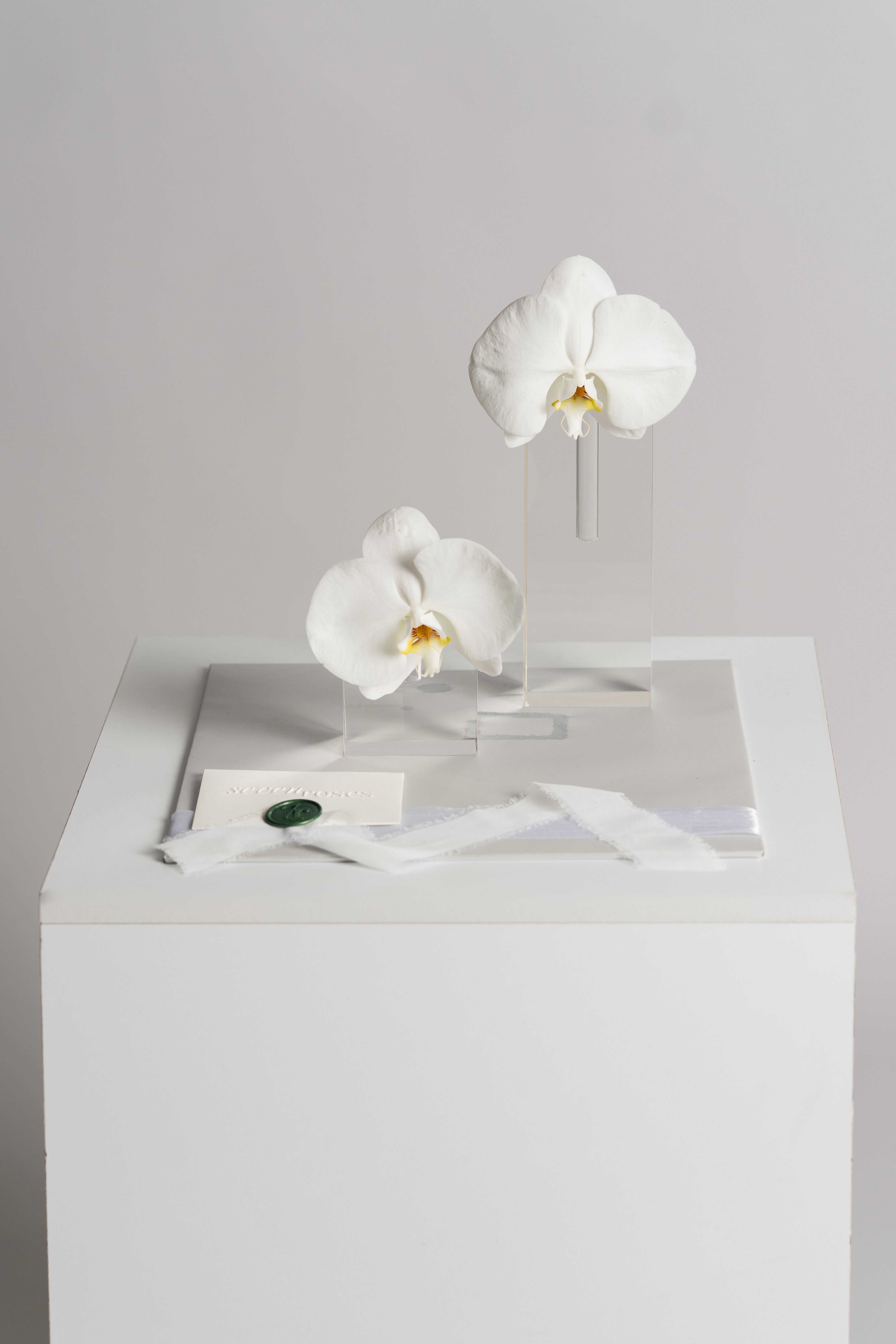 Kit Minimal White – Seven Roses